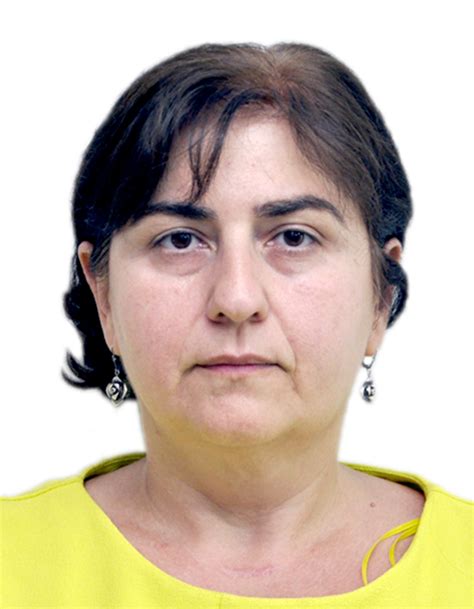 ნათია კიკაჩეიშვილი სტუ ის საინფორმაციო ბაზა