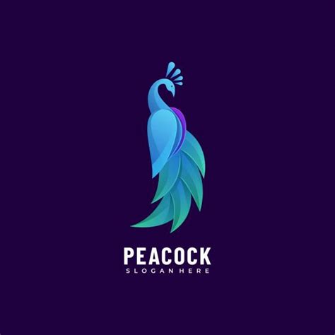 Peacock Illustrations Royalty Free Vector Graphics And Clip Art Istock