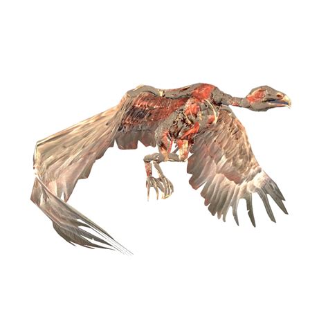 七日杀丧尸秃鹫七日杀wikigamekee