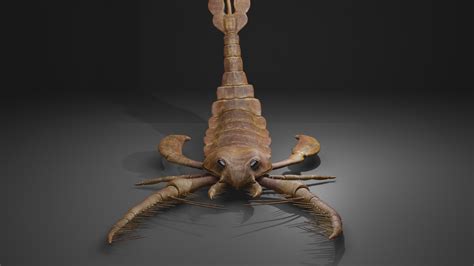 Jaekelopterus Dinosaur 3d Turbosquid 2182132