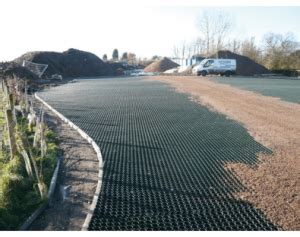 Tree Roots Priority Trees