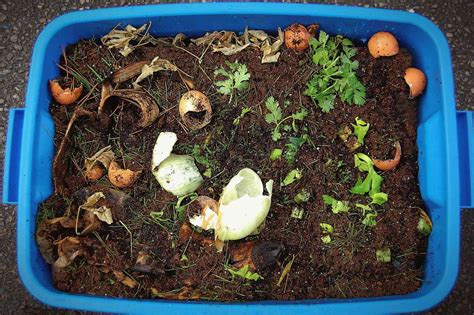 How To Make A Compost Bin Using A Plastic Storage Container
