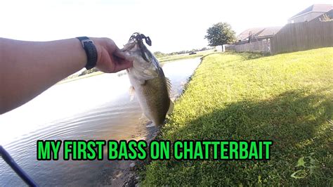 My First Bass On Chatterbait Youtube