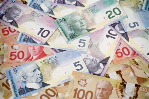 How To Find Your RBC Routing Number In Canada Savvy New Canadians
