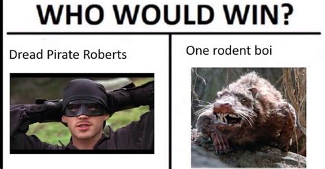 Princess Bride Movie Funny Princess Dread Pirate Roberts Funny Memes