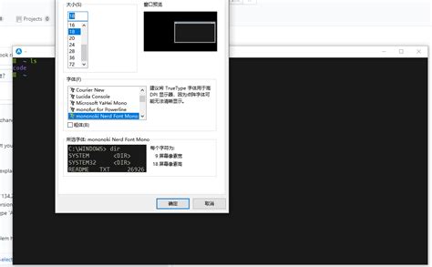 Is There A Way To Set Terminal Font Issue Yuk Archwsl Github