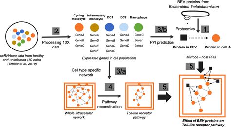 analysing host microbiome interactions official website of korcsmaroslab