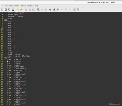 riscv gcc工具编译firmware进行仿真问题总结 csdn博客