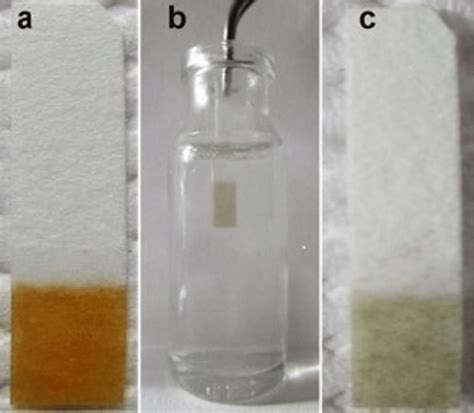 Colorimetric Test Procedure For Identifying Cl⁻ In Aqueous Medium A Download Scientific