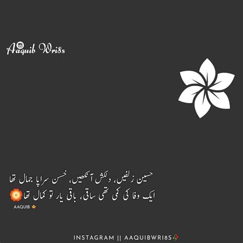 Follow Aaquibwri8s For Follow Back Haseen Zulfedilkash