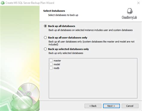 Sql Database Backup With Msp360