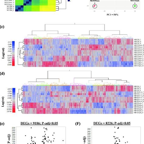 Correlation Analysis And Number Of Differentially Expressed Genes Download Scientific Diagram