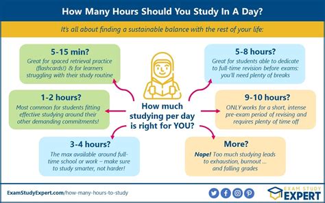 How Many Hours Should You Study A Day The Comprehensive Guide Exam