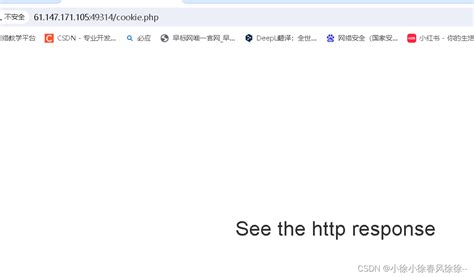 ctf web篇 攻防世界题目实战解析cookie ctf中 easycookie csdn博客