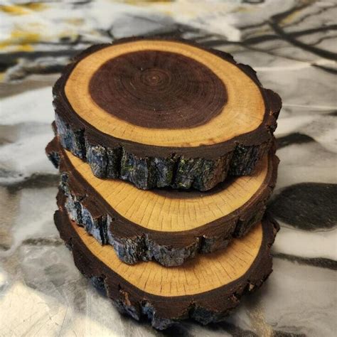 Black Walnut Slices Etsy