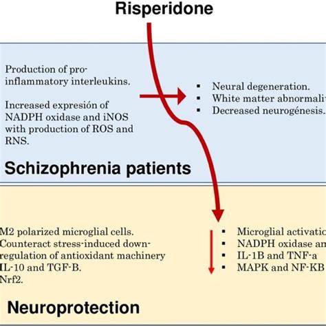 Possible Neuroprotective Effect Of Risperidone On Microglia In