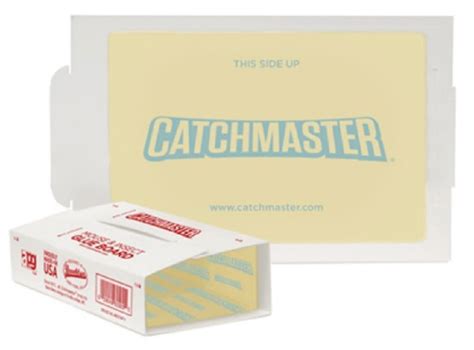 Catchmaster Glue Boards Pk Sd Viceroy Distributors