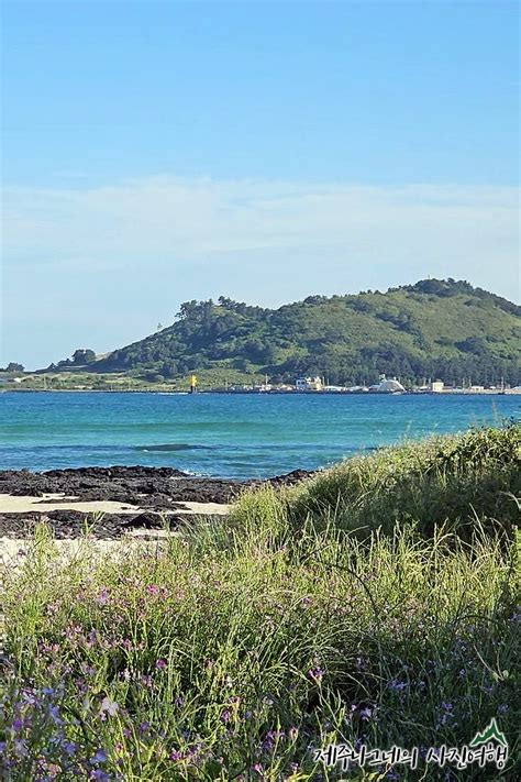 제주도 캠핑장 금능해수욕장 무료 야영장 이용 유의사항 네이버 블로그