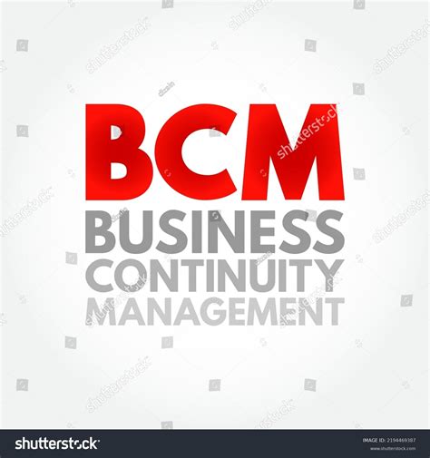 Bcm Business Continuity Management Framework Identifying Stock Vector Royalty Free 2194469387
