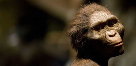 What The 3 2 Million Year Old Lucy Fossil Reveals About Nudity And Shame