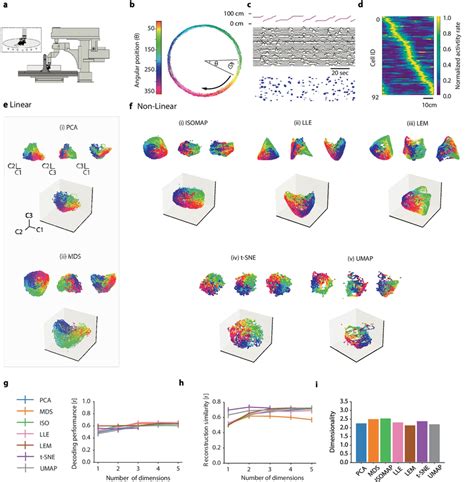 Mouse Hippocampalca1 Manifolds During Spatial Memory Retrieval Unless Download Scientific