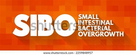 Sibo Small Intestinal Bacterial Overgrowth Imbalance Stock Vector Royalty Free