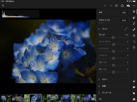 Gx8のアイカップを替えたら世界が綺麗に写った【dmw Ec3】 しゃべろぐ〜カメラとガジェットのブログ〜