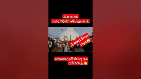 🙏සාදු සා අද දවස සියලු දේනාට දවස සාර්ථක කරලා දෙන්ට😌ඔබ වහන්සේ සත්‍යානු බලයෙන්🙏 Ruwanweliseya