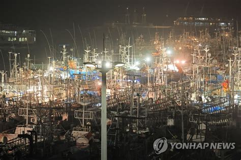 태풍 카눈 남해안 250㎞ 이내로상륙 시 예상강도 낮아져종합 나무뉴스