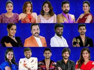 Bigg Boss Telugu 7 Final List Of 14 Contestants Their Professions