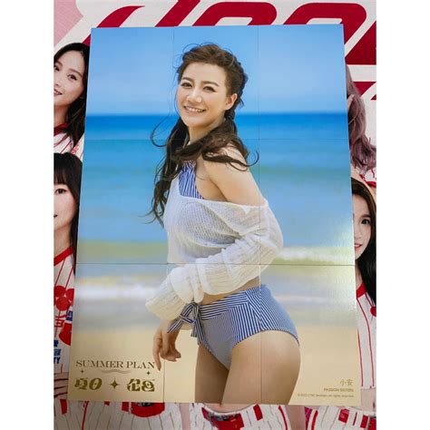 【小安】2022 中信兄弟 啦啦隊 Passion Sisters 夏日繽紛 拼圖卡 一套 泳裝 9 張一套 蝦皮購物