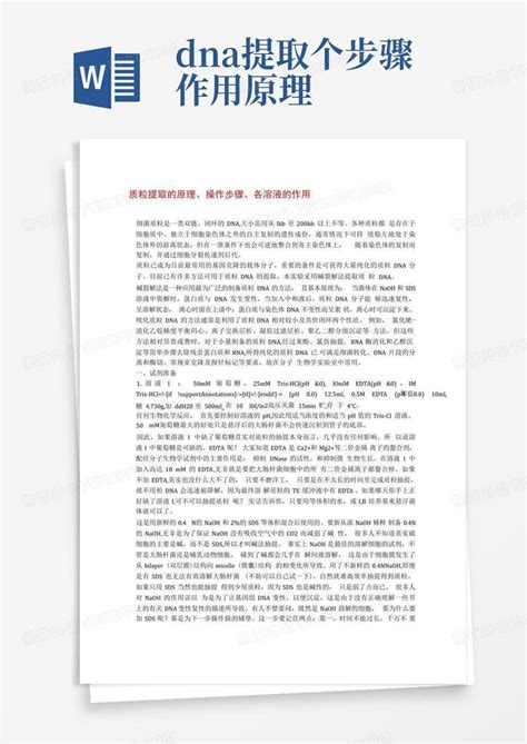 dna提取个步骤作用原理Word模板下载 编号lbynaonj 熊猫办公