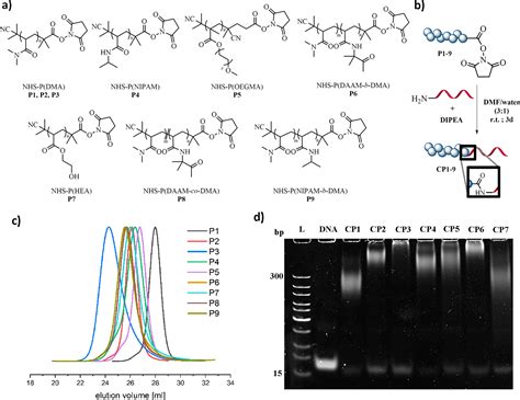 A Versatile And Efficient Method To Isolate Dnapolymer Conjugates Acs Macro Letters