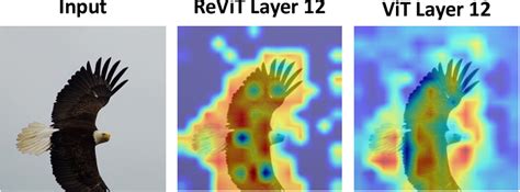 Figure 1 From Revit Enhancing Vision Transformers Feature Diversity With Attention Residual