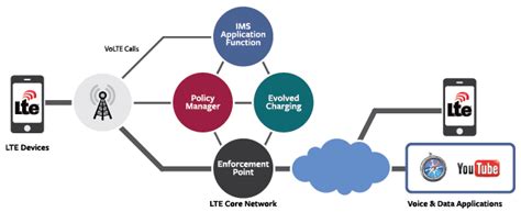 Information Technology Voice Over LTE