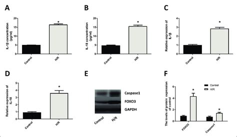 Hypoxiareoxygenation Can Induce Pyroptosis Of H9c2 Cells A And B