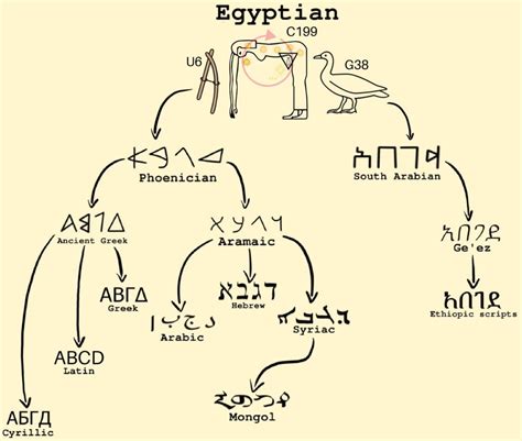 12 Best Ralphanumerics Images On Pholder Abcd Evolution
