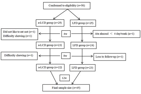 Flow Diagram Of The Participants Included In The Study A LCD Download Scientific Diagram