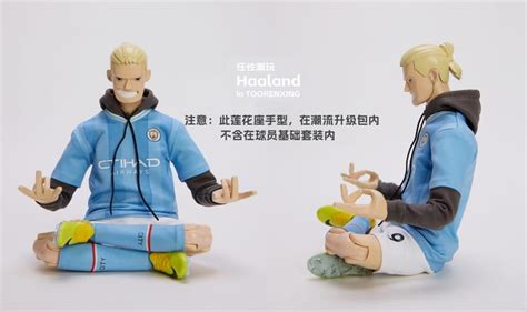 Toorenxing Willful Harland Action Figure Sugo Toys Australian