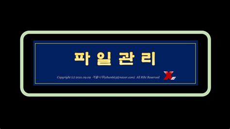 [vba] 파일관리 파일 개별 및 일괄 오픈 youtube