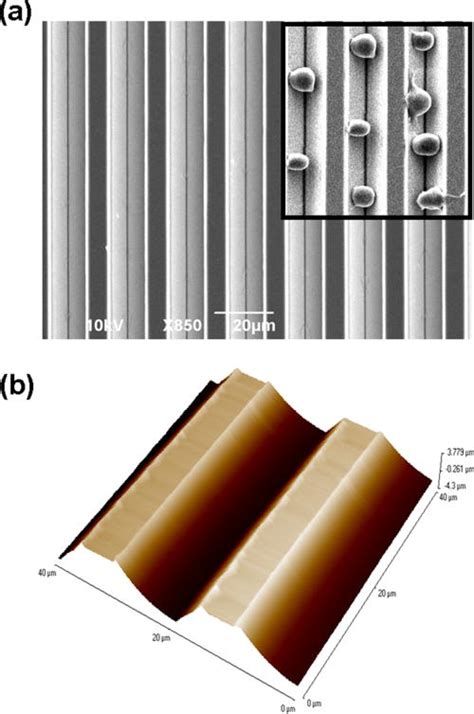 A Permalloy Zigzag Structure Based Magnetic Bio Sensor Journal Of Applied Physics Aip Publishing