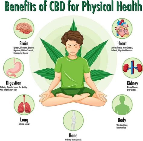 Understanding The Benefits Of Cbd In 2025 Weedime