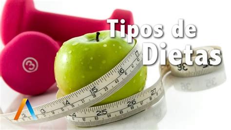 Clasificación De Los Diferentes Tipos De Dietas Guía Práctica Para