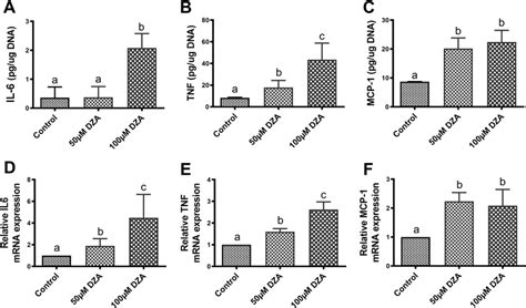 Dza Promotes The Release Of Inflammatory Cytokines From 3t3 L1
