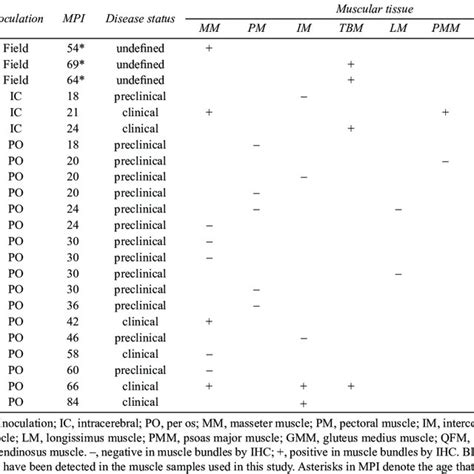Immunohistochemical Detection Of Prp Sc In The Skeletal Muscle Of 23 Download Table