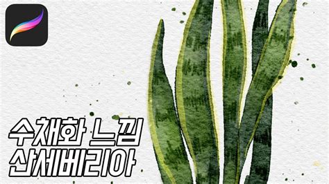 수채화 브러시로 그리는 산세베리아 Youtube