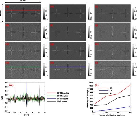 Compressed Sensing In Photoacoustic Tomography In Vivo