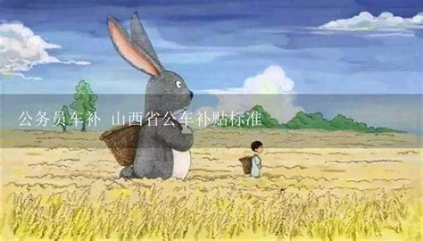 公务员车补 山西省公车补贴标准 17攻略