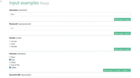 Input Examples Vuejs