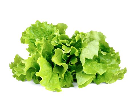 The Meaning And Symbolism Of The Word Lettuce